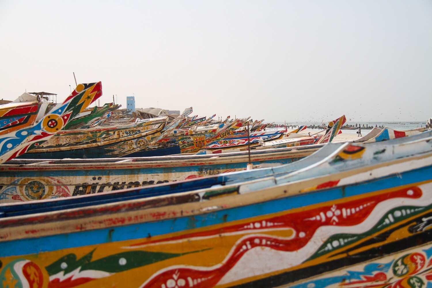 20 cosas que no sabías sobre Nuakchot